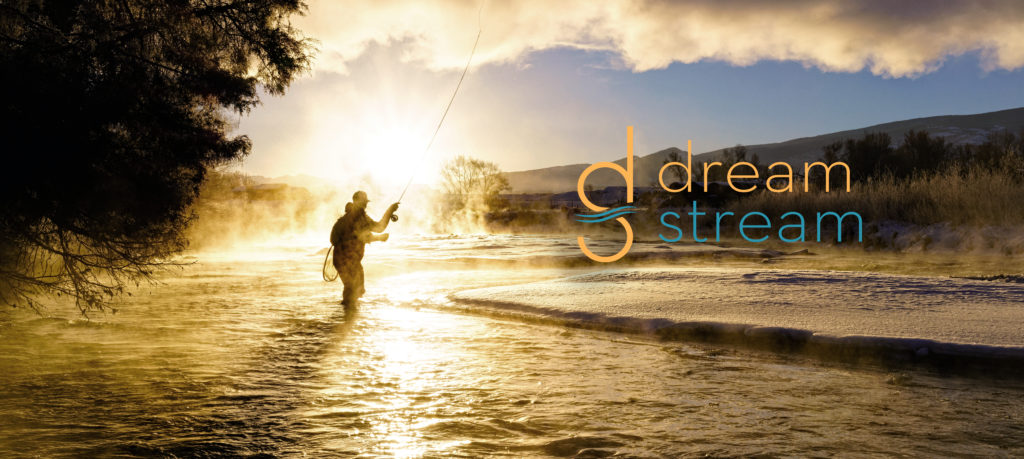 DreamStream • Spawn Ideas